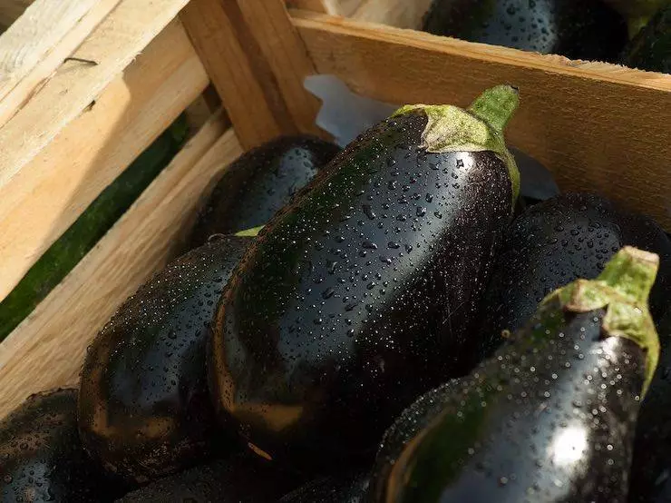 Eggplant líonta le litrithe le trátaí silíní, vegan agus mias éadrom Super 4814_2