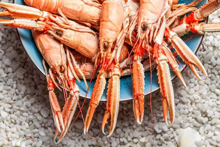 Scampi ve brendi ile linguine - yemek tarifi baskısı