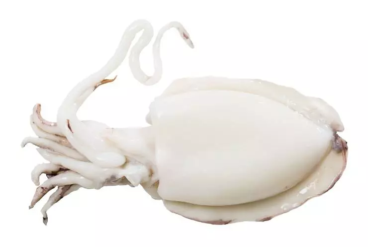 Orecchiette yokhala ndi cuttlefish ndi tsabola PHOTO recipe kusindikiza