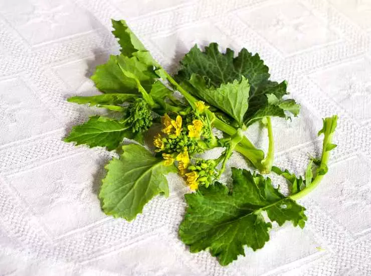 Akara oyinbo rustic pẹlu broccoli - ricettasprint