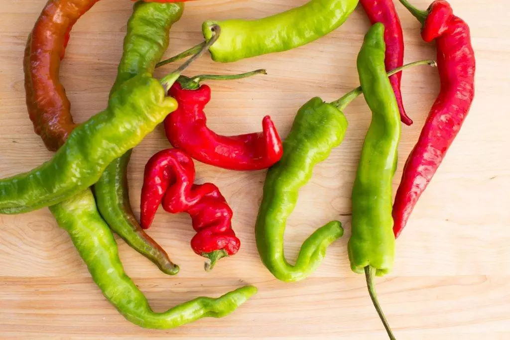 Green chillies cushe da ricotta FOTO ricettasprint