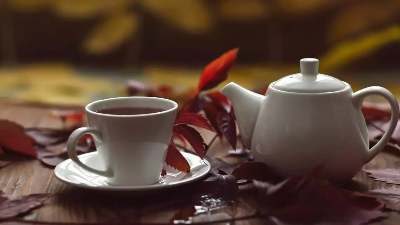Биљни чај од црвене лозе против целулита
