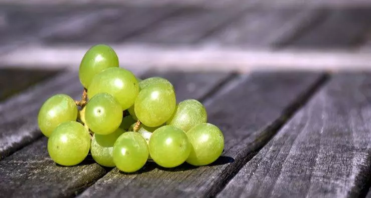 Grappa we üzüm FOTO reseptini çap etmek