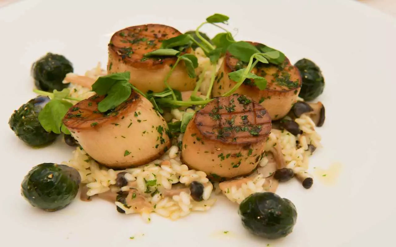 Risotto na scallops na porcini mushrooms | Ntụziaka pụrụ iche n'ezie