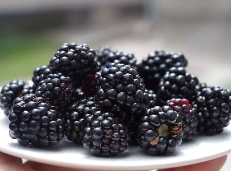 Blackberry a Vanille Likör - Rezeptdruck