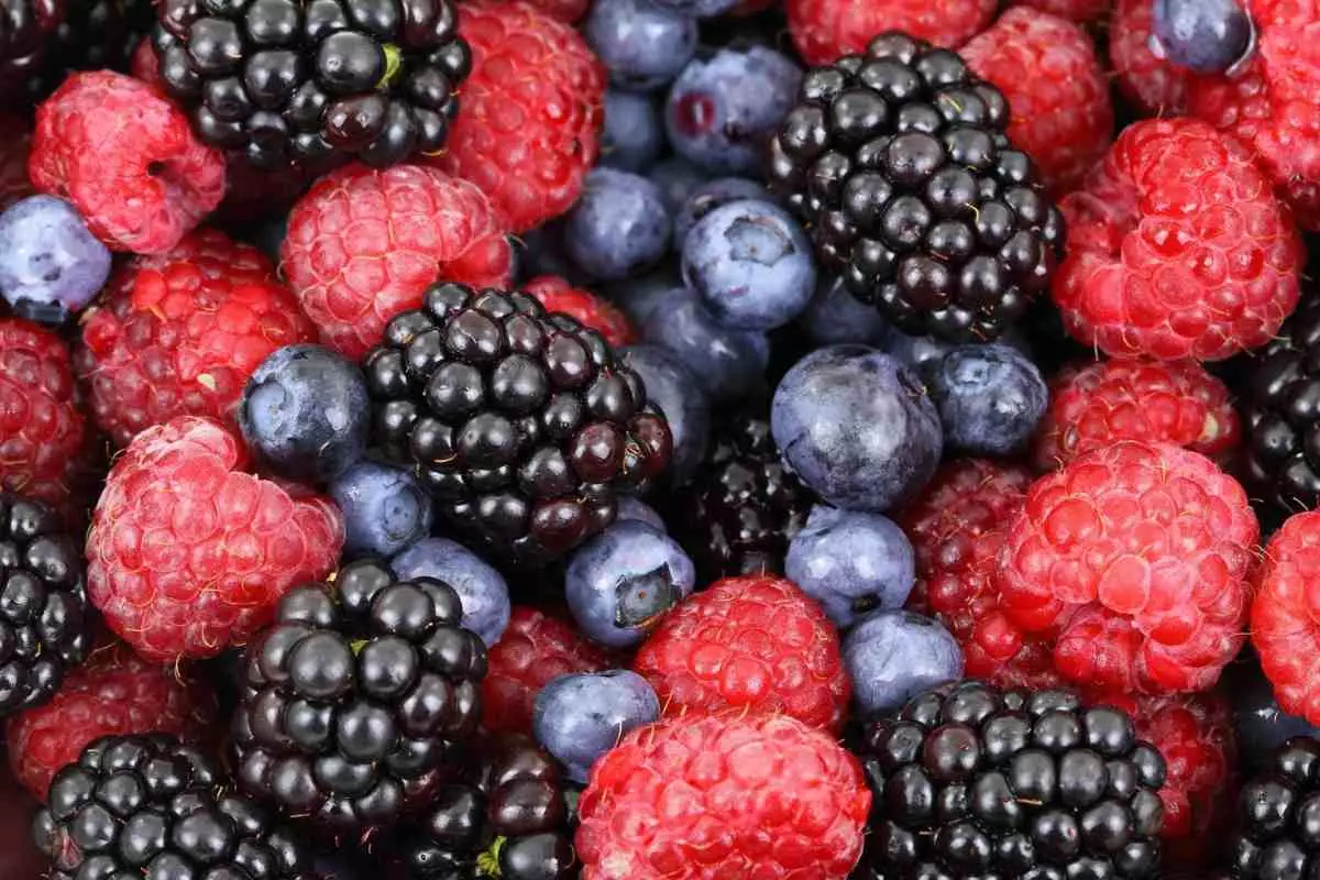 Çapkirina reçeteya FOTOyê donutê vegan bi çîkolata û fêkiyên sor