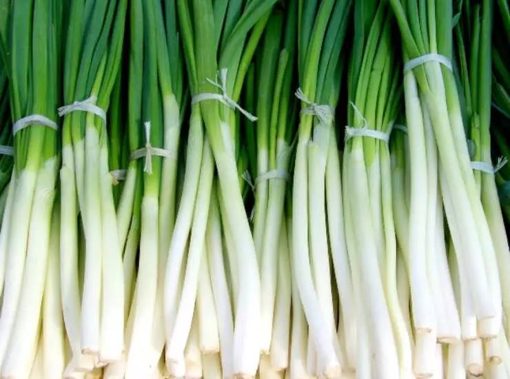 Makaroni ar papriku un aromātiskiem garšaugiem FOTO receptes izdruka