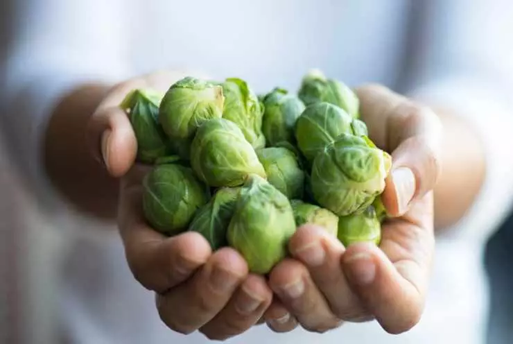 Sicín piccata le sprouts Bhruiséil PHOTO oideas a phriontáil