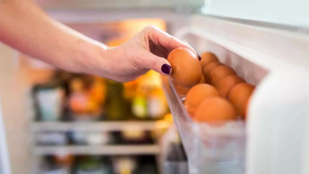 Mga itlog sa refrigerator