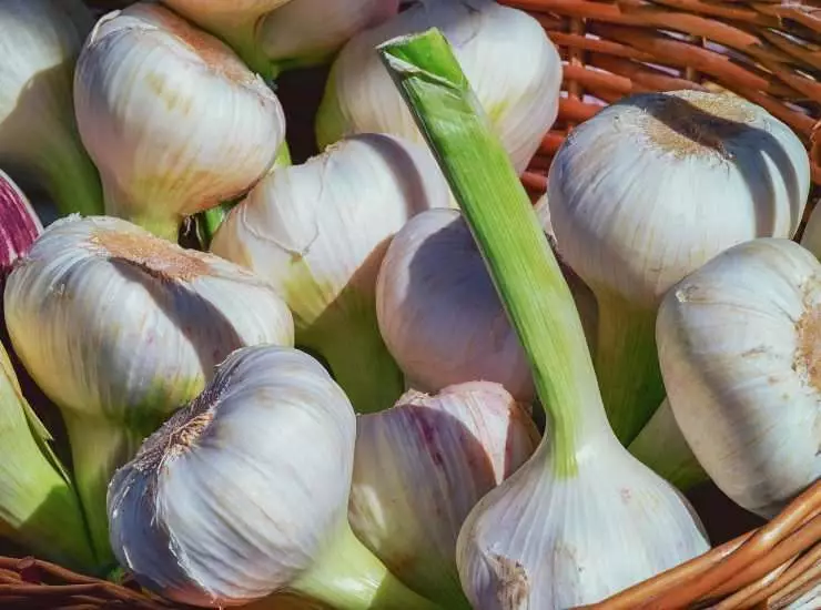 primer risotto de cebolla