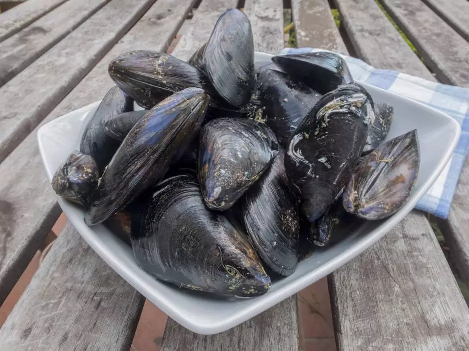 Paccheri ndi Mussels ndi Tomato