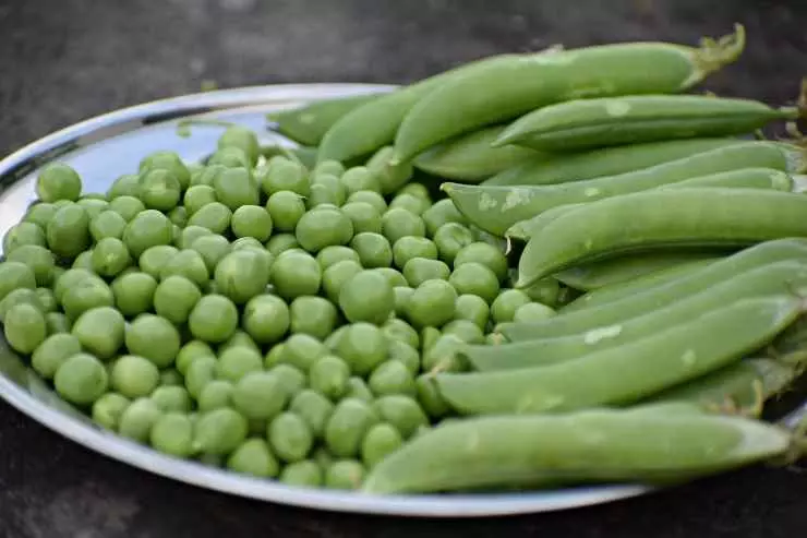 Cannoli hamwe na pea mousse IFOTO ya resept icapye