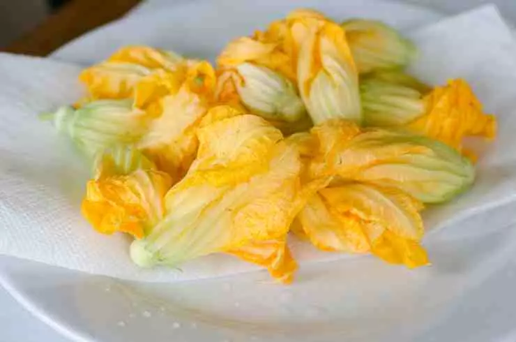 Lasagne d'été aux courgettes et aux fleurs PHOTO recette imprimer