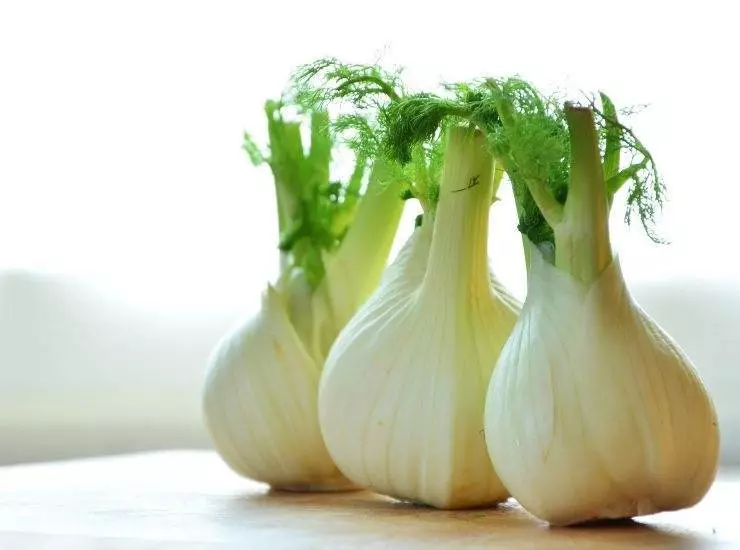 Fennel caponata FOTO resept çap