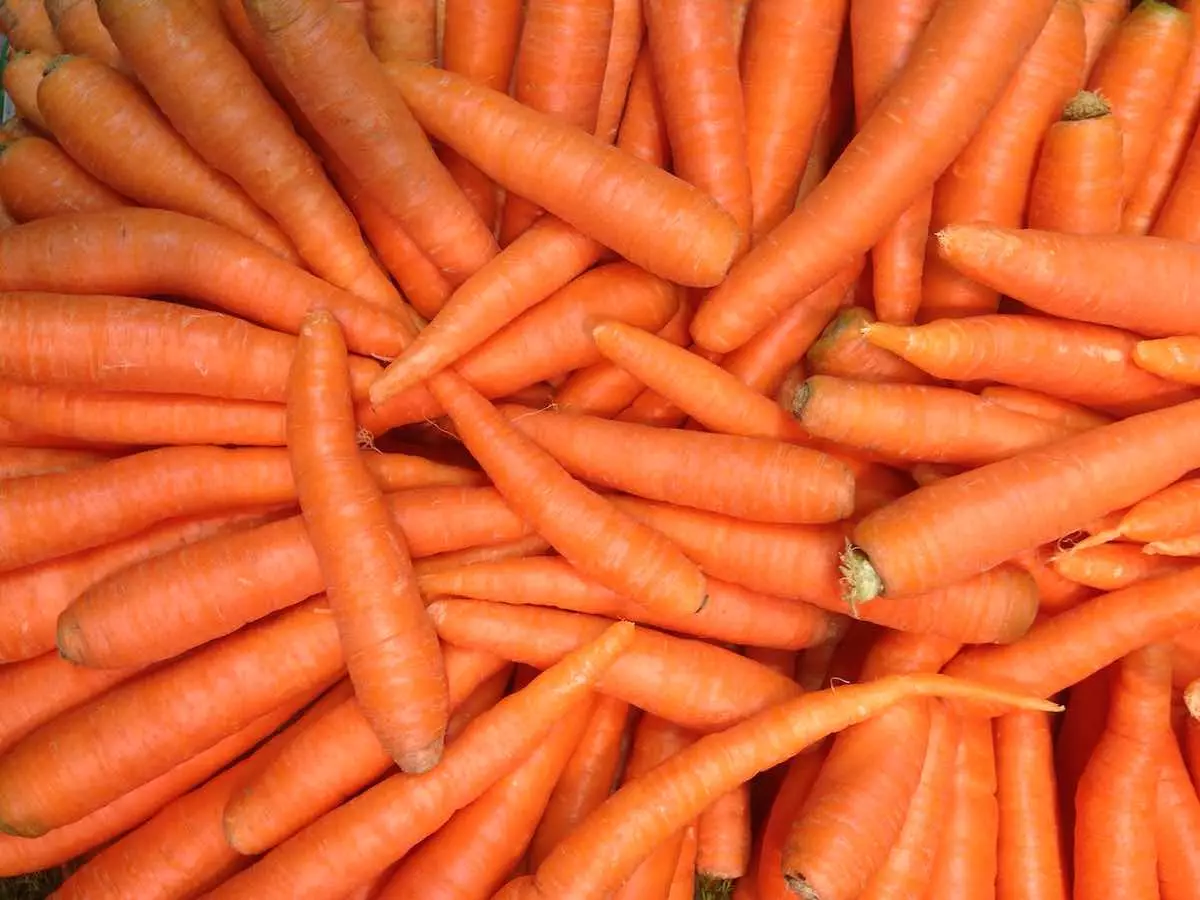 Carrots