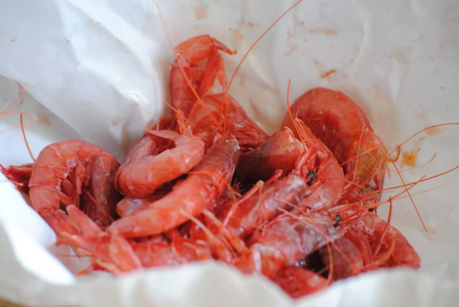 Shrimp katika sufuria